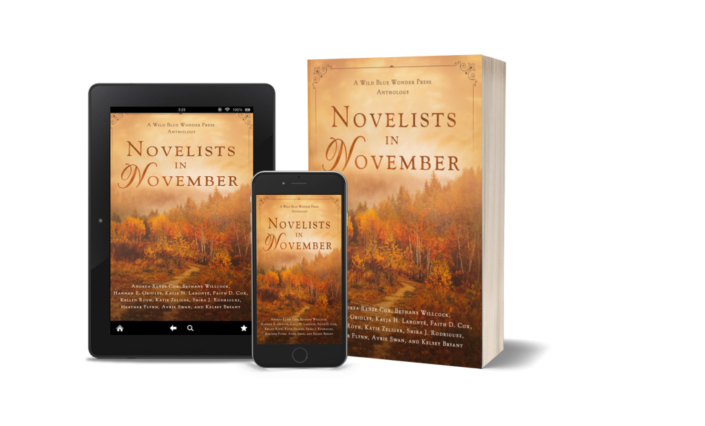 Novelists in November Cover Reveal & Preorder Launch | Kellyn Roth ...