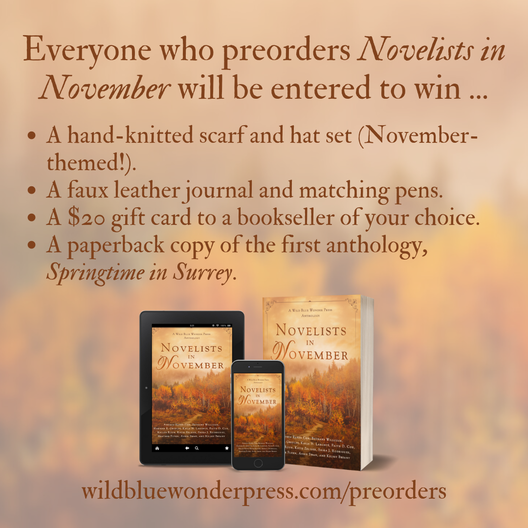 Novelists in November Cover Reveal & Preorder Launch | Kellyn Roth ...
