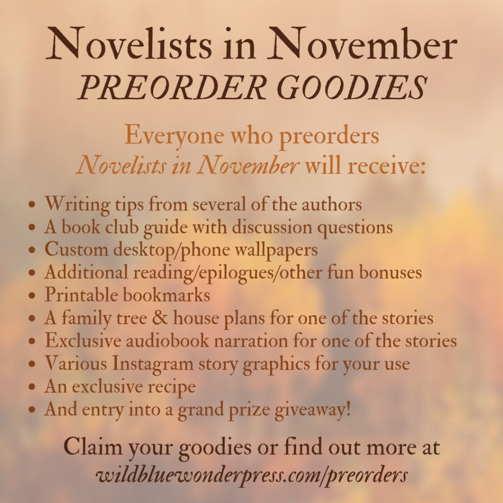 Novelists in November Cover Reveal & Preorder Launch | Kellyn Roth ...